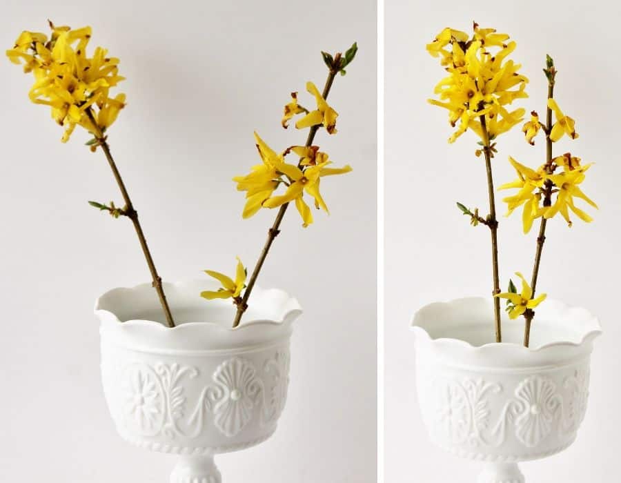 A Guide to Vintage Flower Frogs [Styles & Values] • Adirondack Girl @ Heart