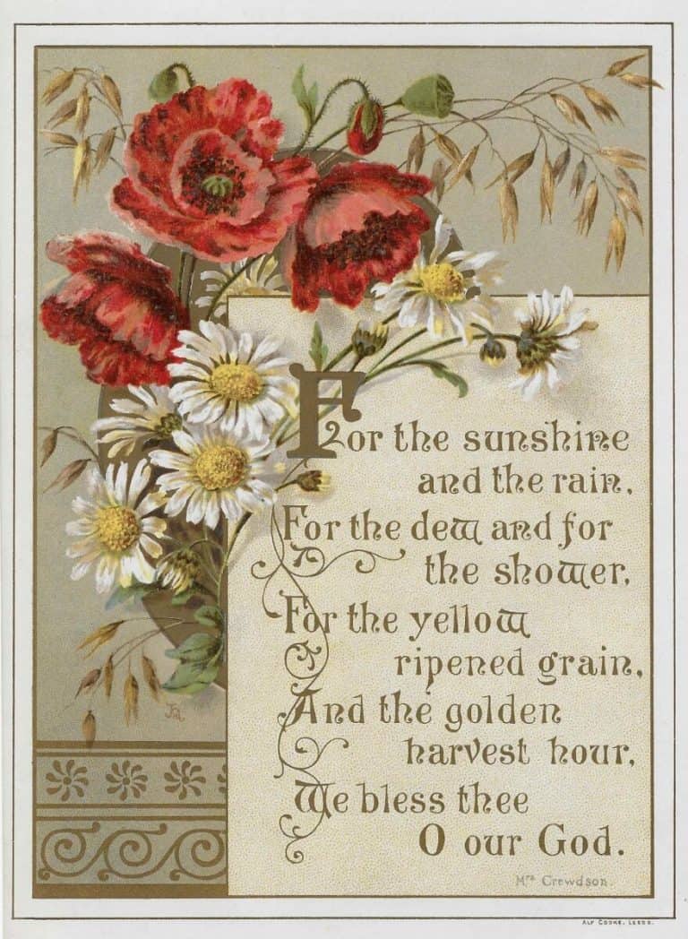Learn the Victorian Meaning of Flowers + FREE vintage printables ...
