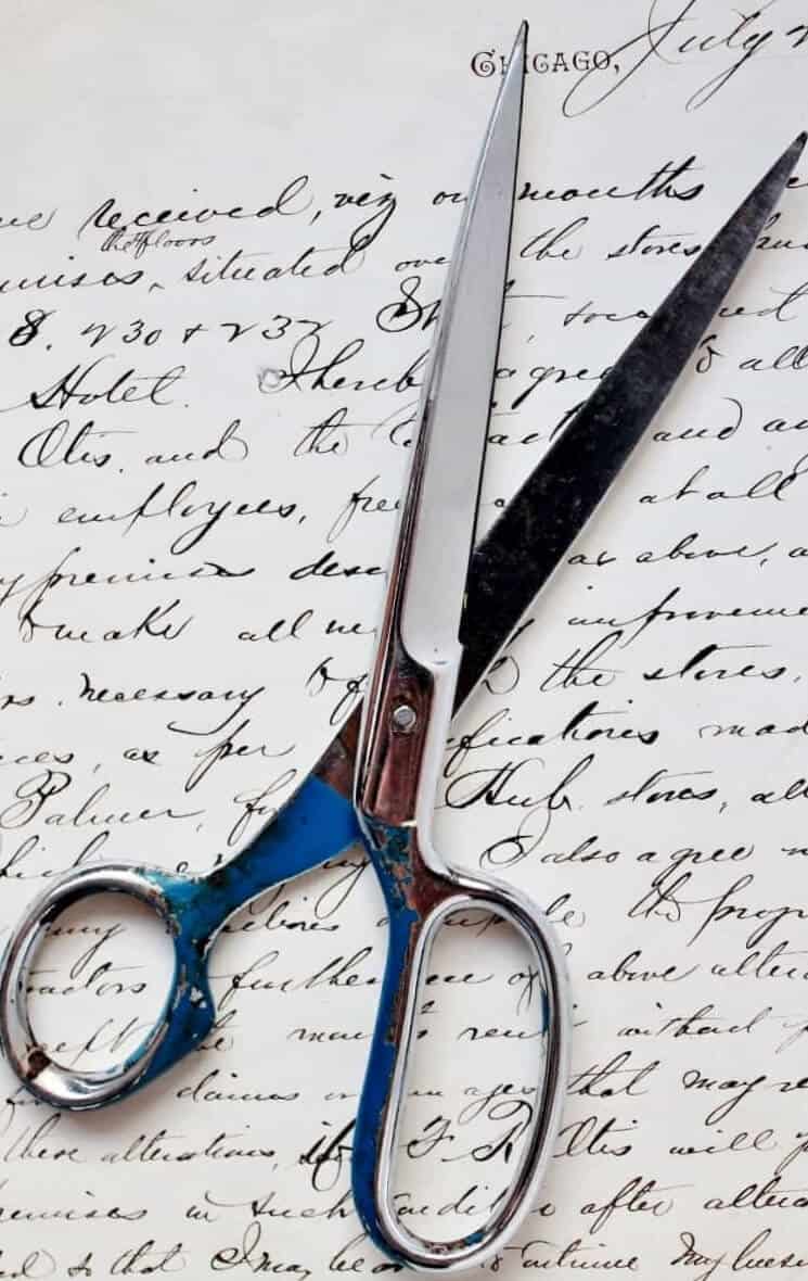 Vintage Scissors Collecting Guide [History & Values] • Adirondack Girl ...