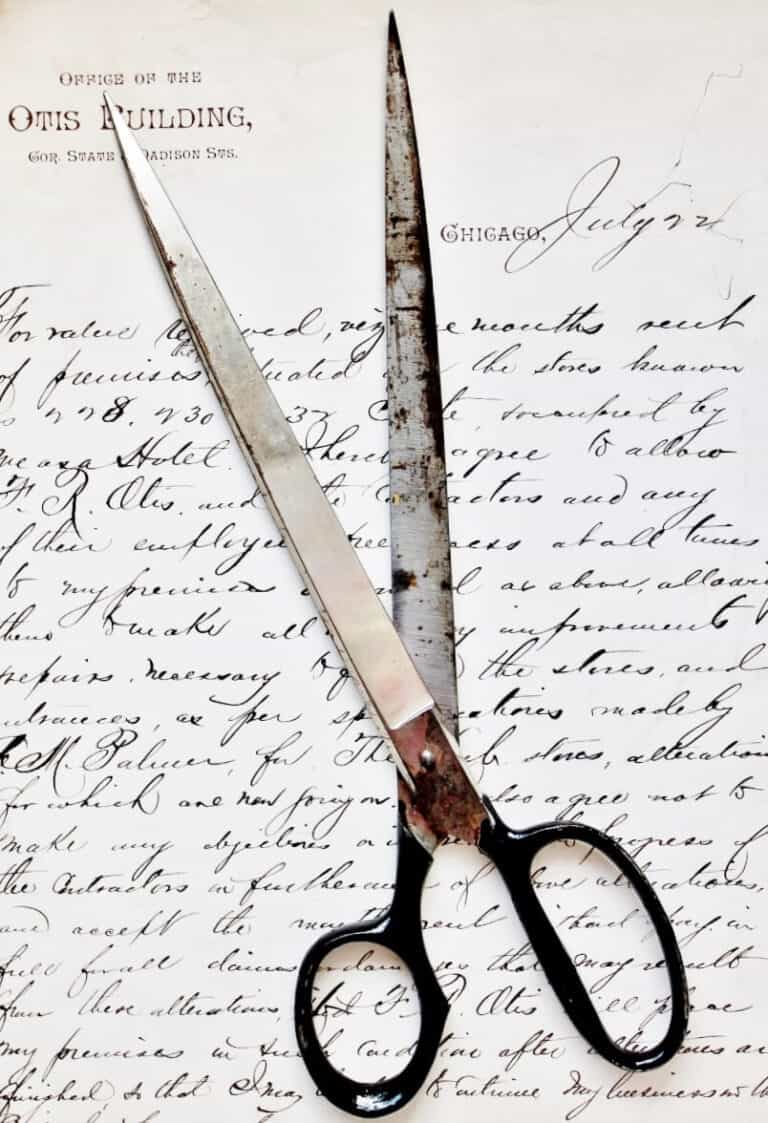 Vintage Scissors Collecting Guide [History & Values] • Adirondack Girl ...