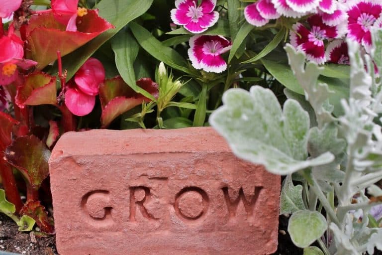 How to Make Concrete Garden Markers + Free Printable • Adirondack Girl ...