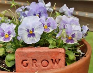 How to Make Concrete Garden Markers + Free Printable • Adirondack Girl ...