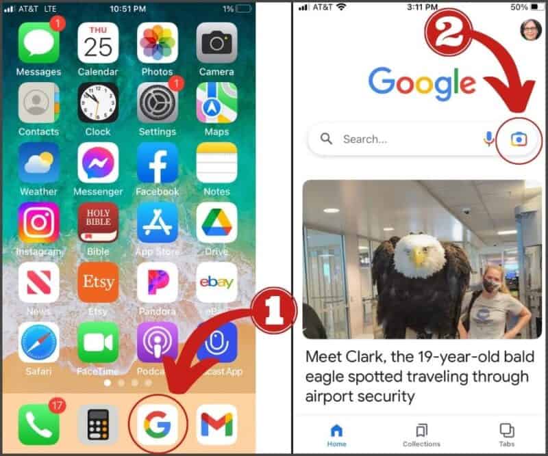 Google Reverse Image Search: Computer & iPhone • Adirondack Girl @ Heart