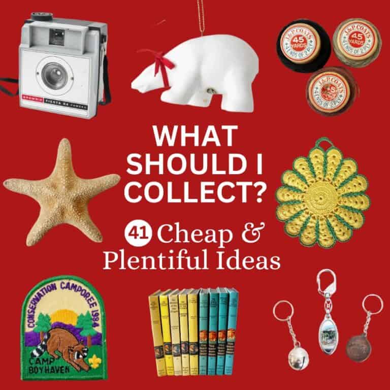 What Should I Collect? 41 Cheap & Plentiful Ideas • Adirondack Girl @ Heart